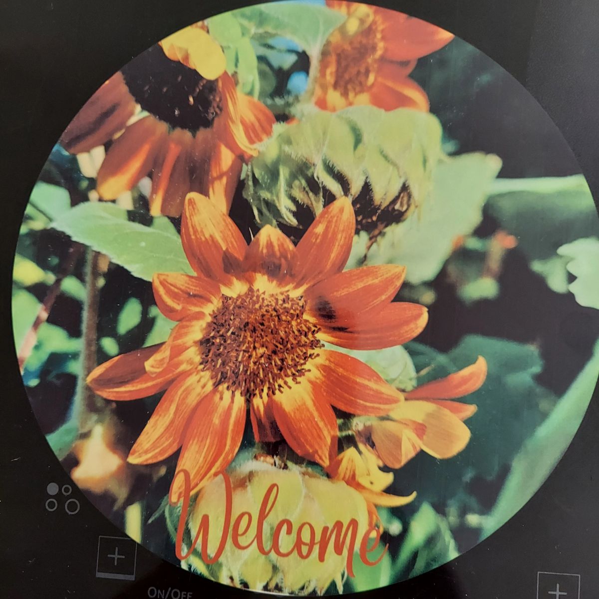 Welcome Fall Sunflower 8 inch round sign