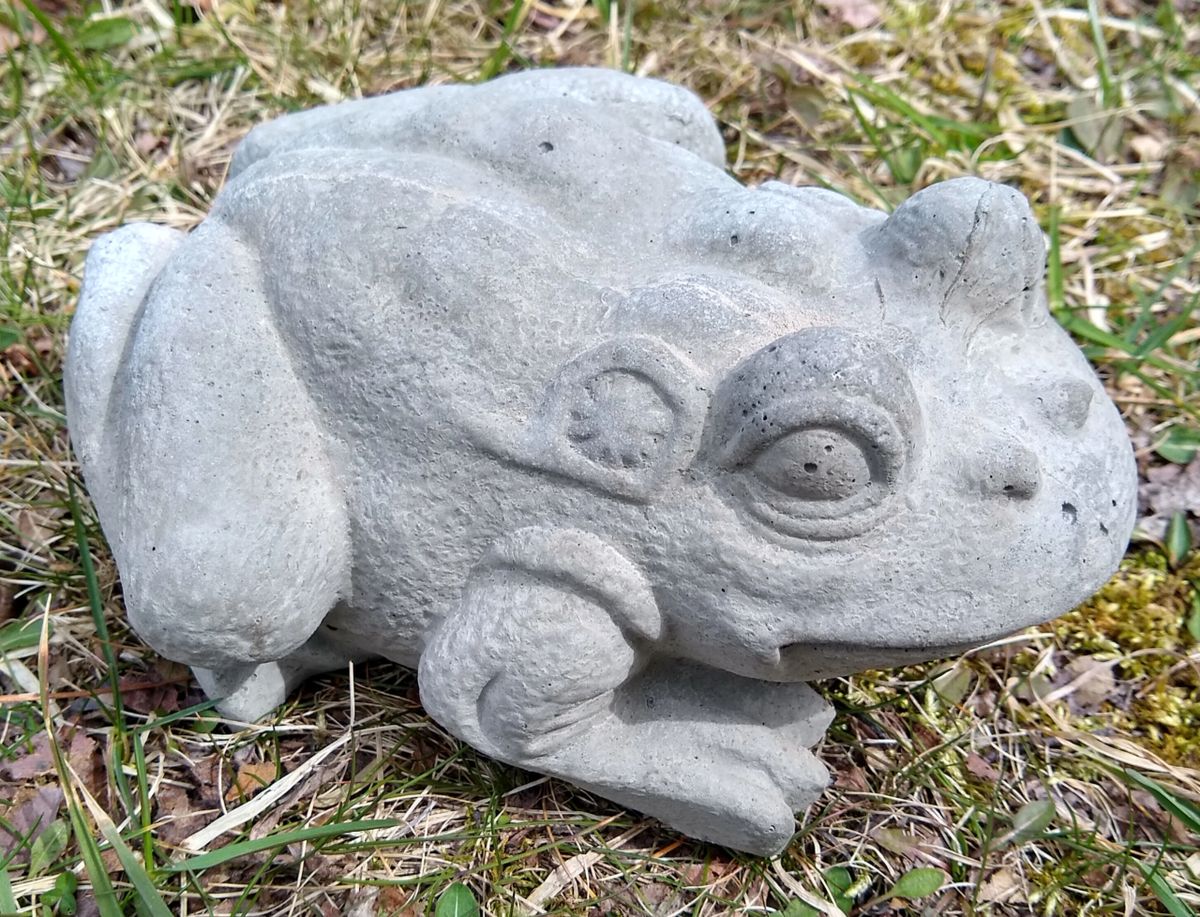 Z Concrete Frog