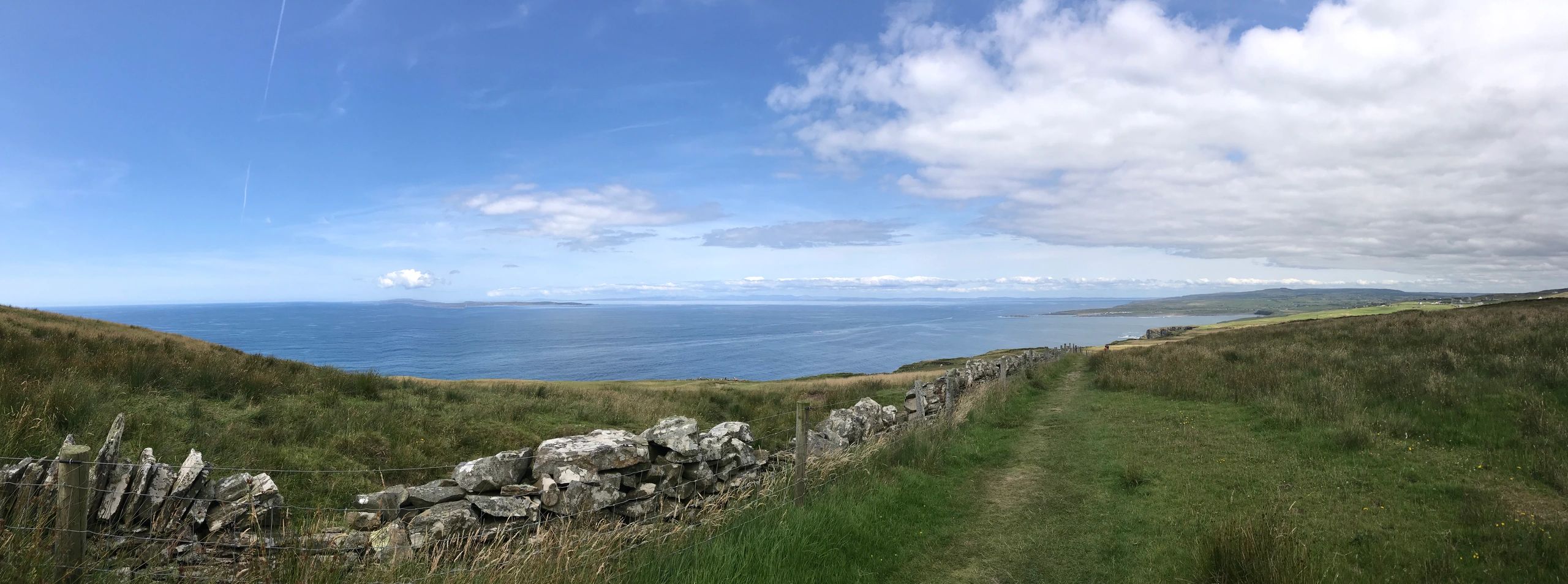 Fairfax Virginia Marriage Celebrant - Home