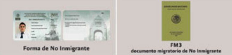 FM3 MEXICO VISA SAMPLE PRIOR 2012