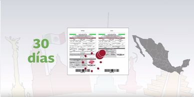 Online Fmm Form - Fmm Multiple Migratory Form