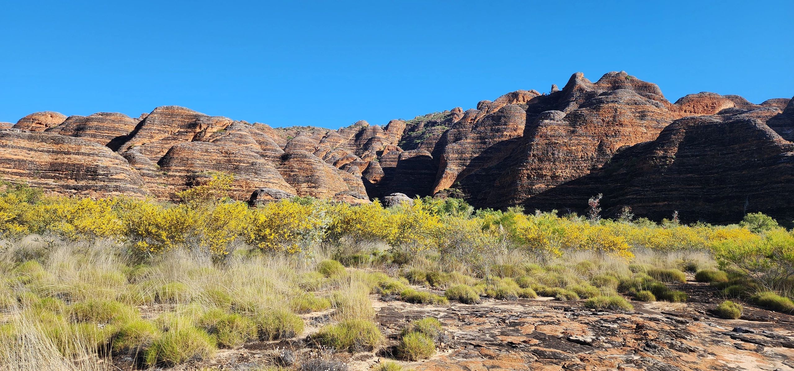 Expert Consultants for Community and Sports Organisations | Hatchman ...