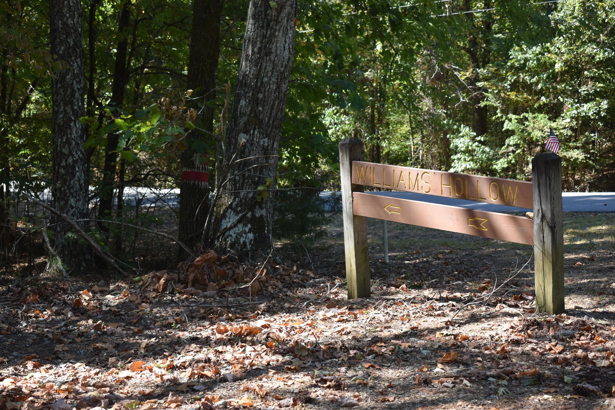 Williams Hollow