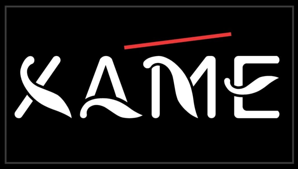 Remote Services - Xame Global
