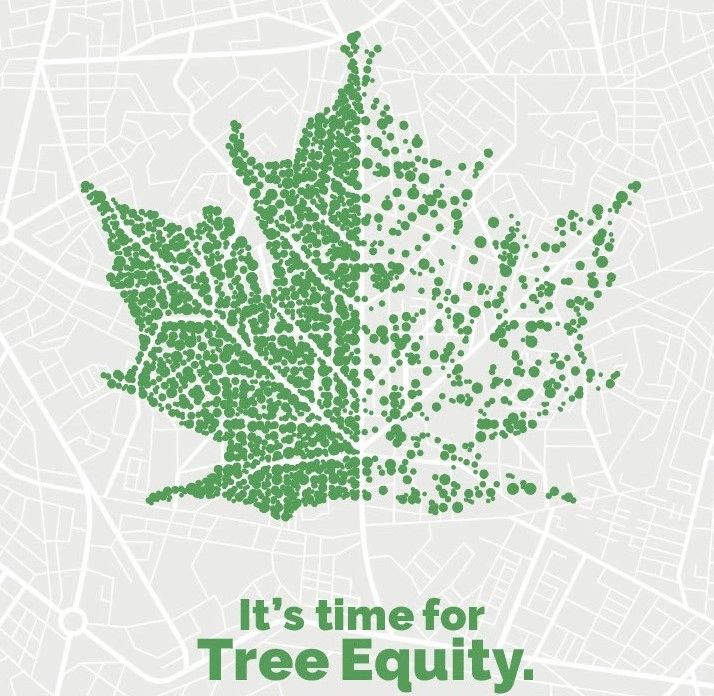 The impact of Tree Equity Scores on urban sustainability