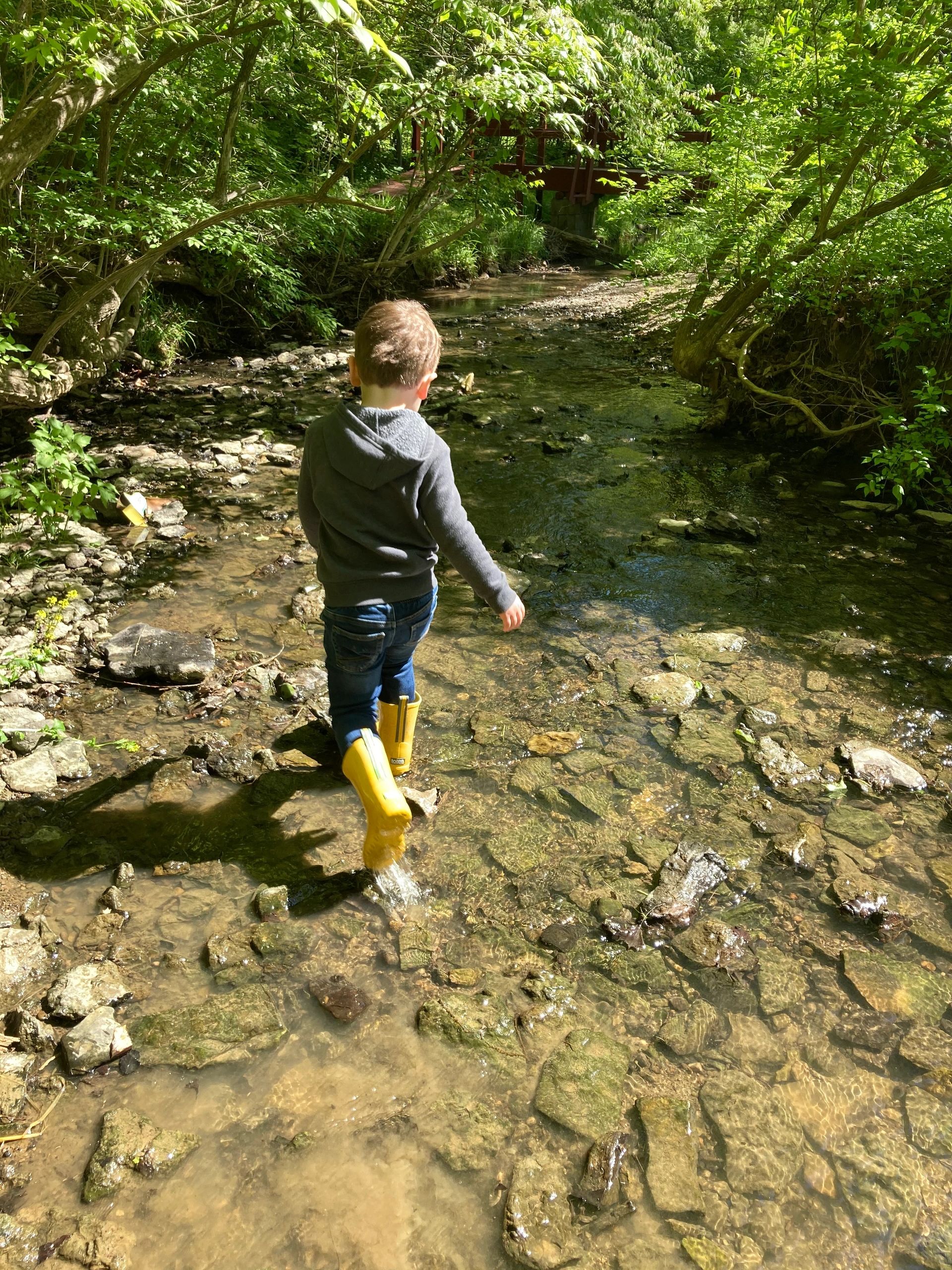 Nurturing Foundations Preschool - Preschool, Child Care