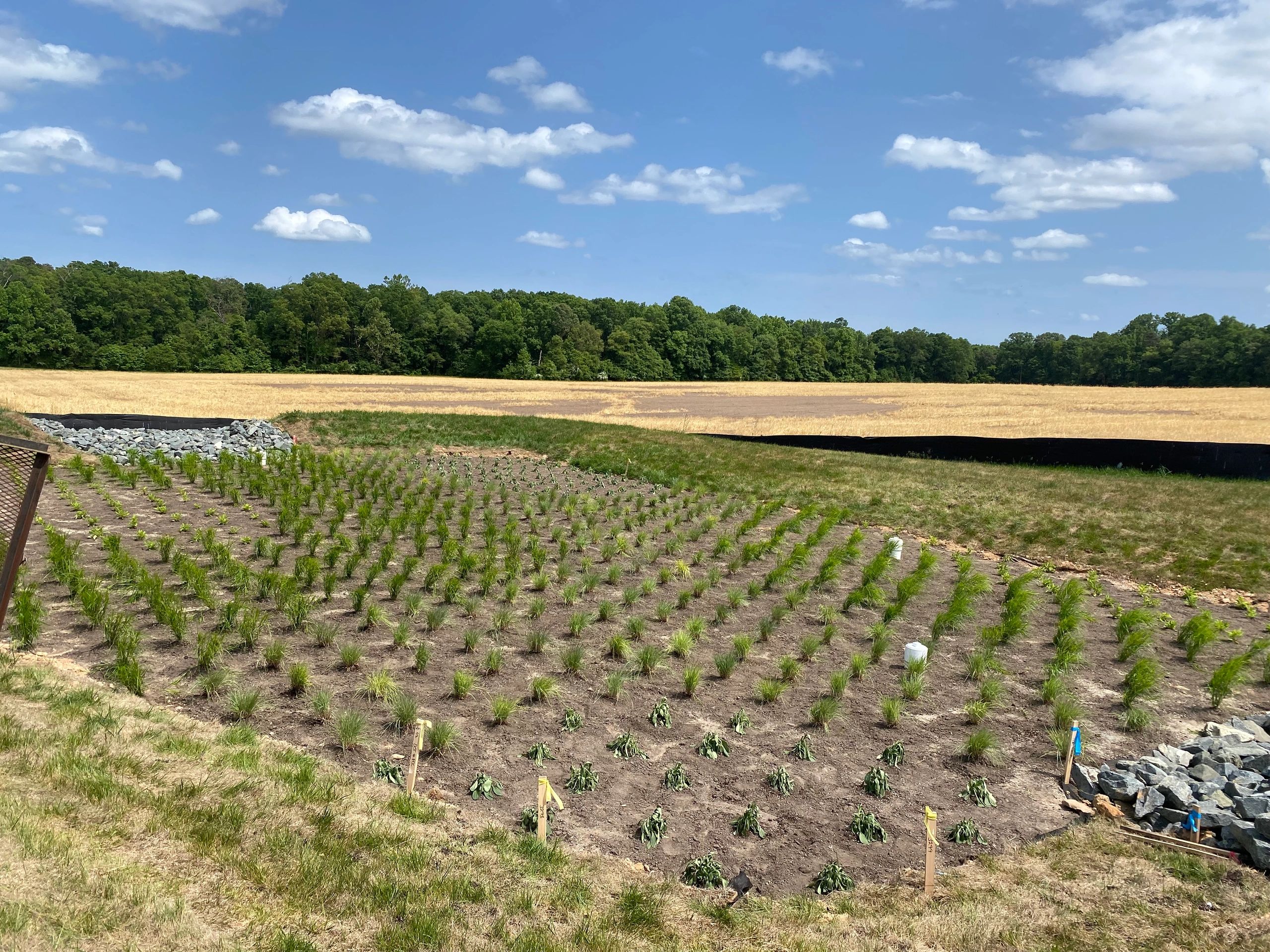 Element Landscape Management