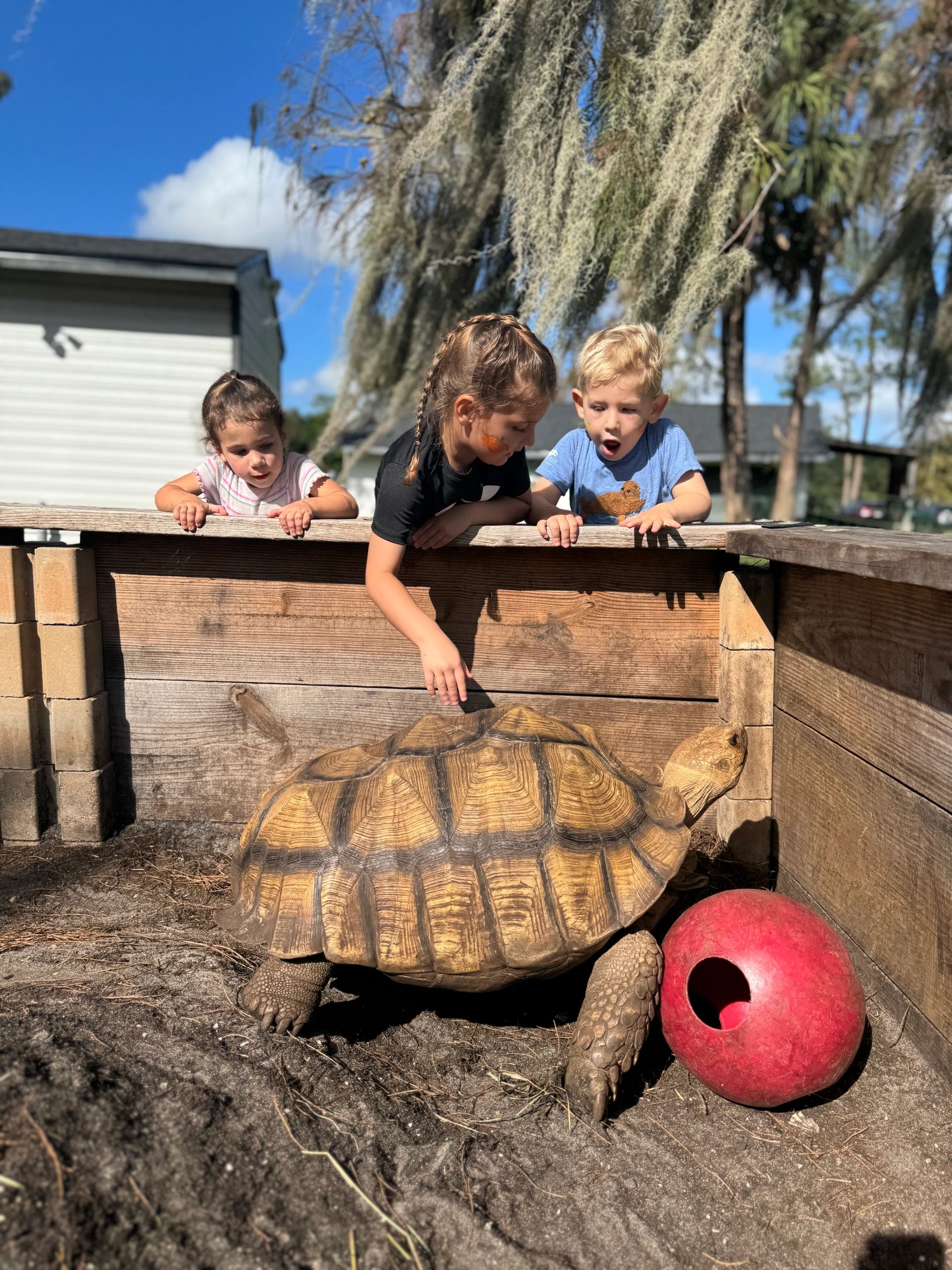 Attire & Considerations