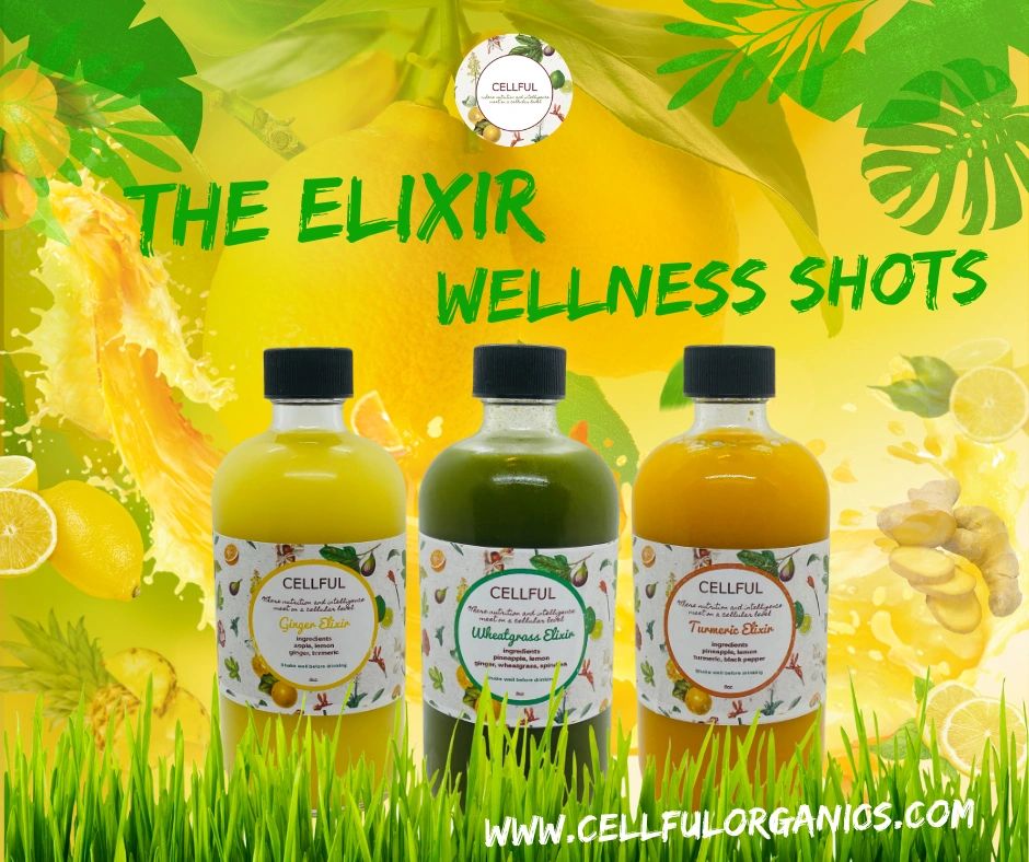 The Elixir Wellness Shot Trio