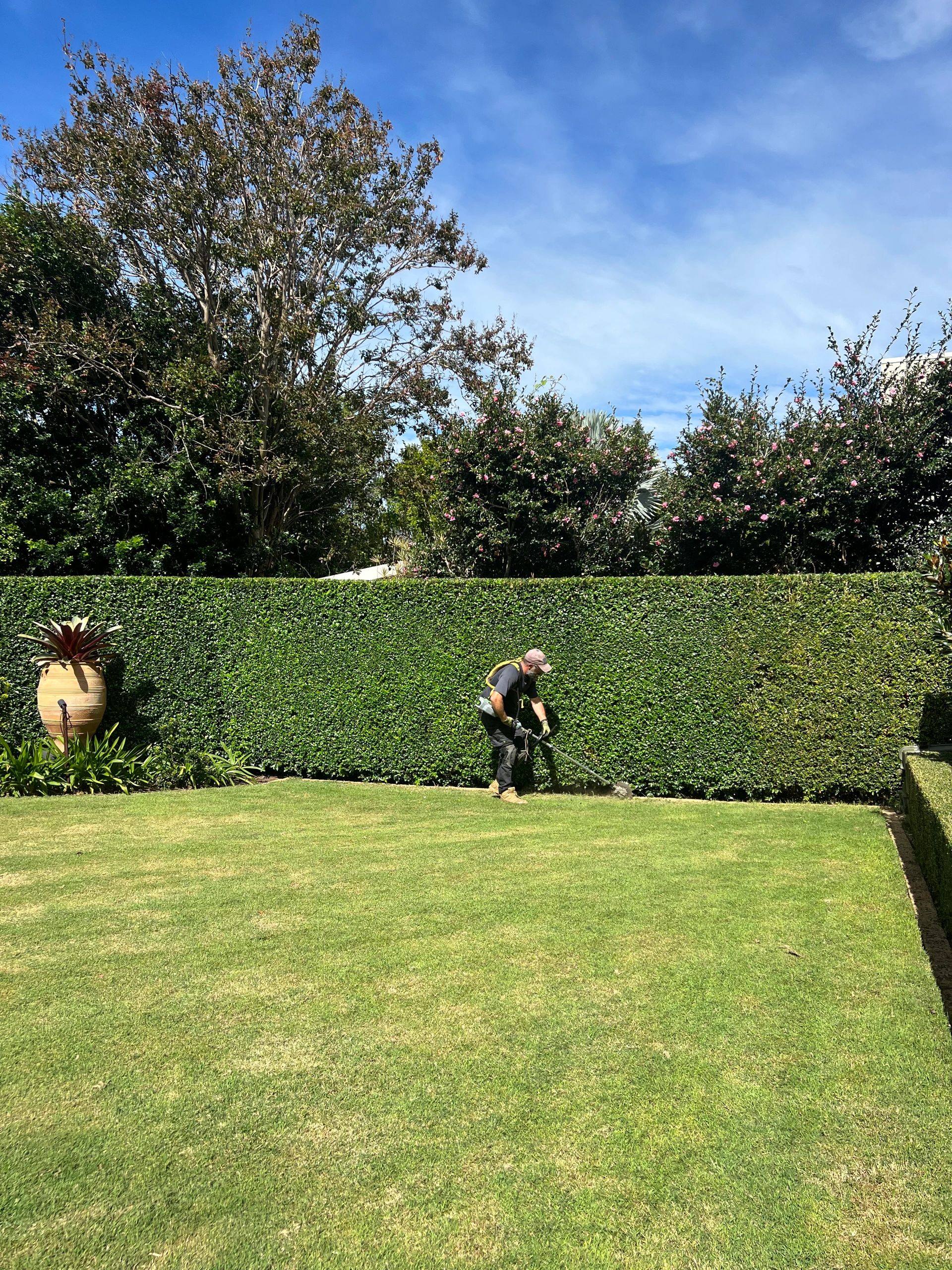 Simon’s Hedges and Edges - Home