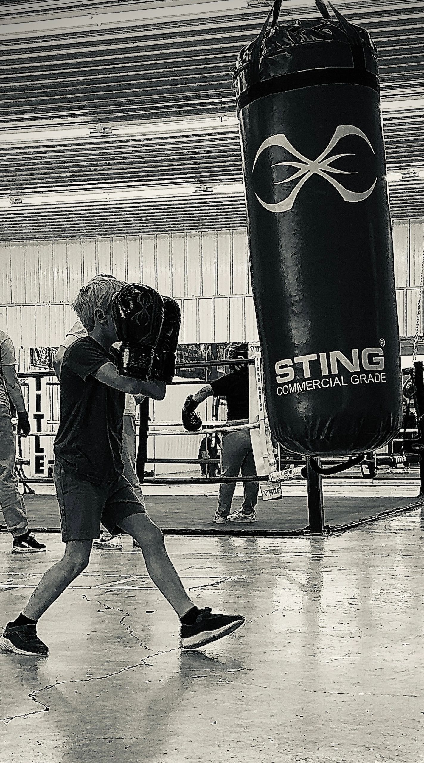 Gallery | Sons of Thunder Boxing, Inc