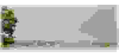 Timberlake Estates Owners Association (TEOA)