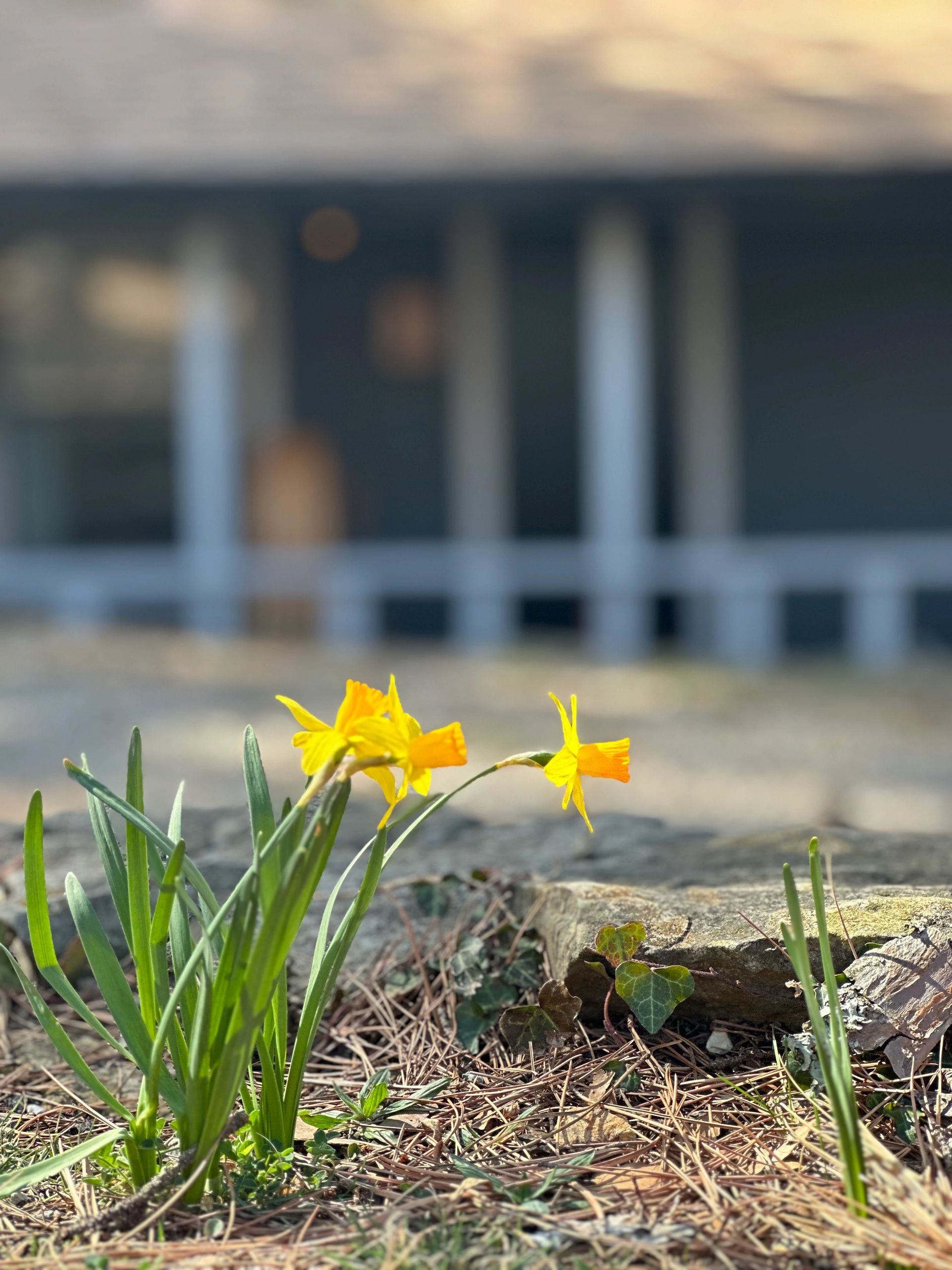 Why You Should Visit Eureka Springs in Spring