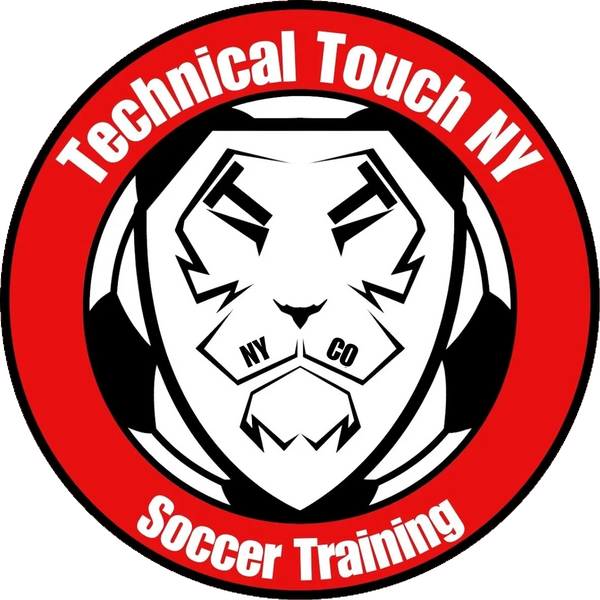 Technical Touch NY Inc