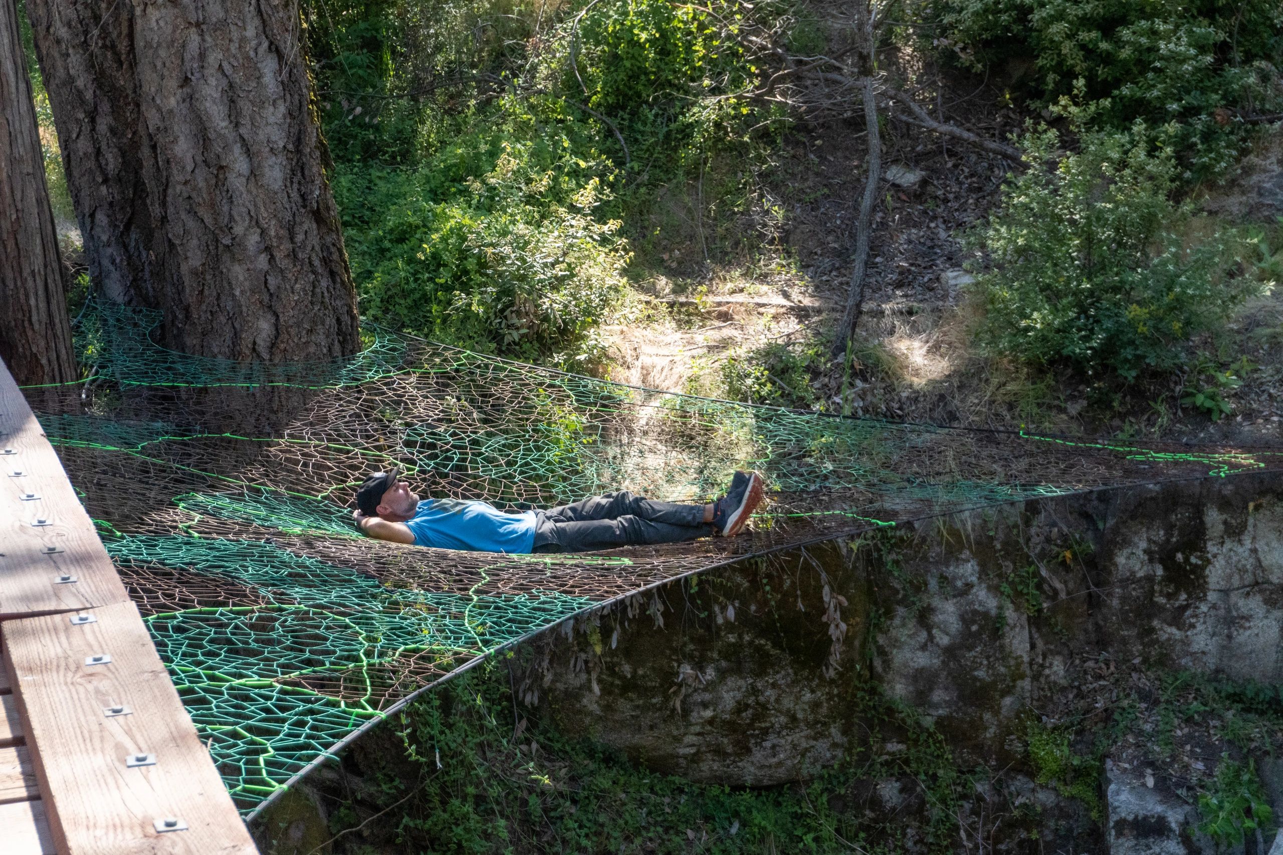 How To Calculate Treenet Forces