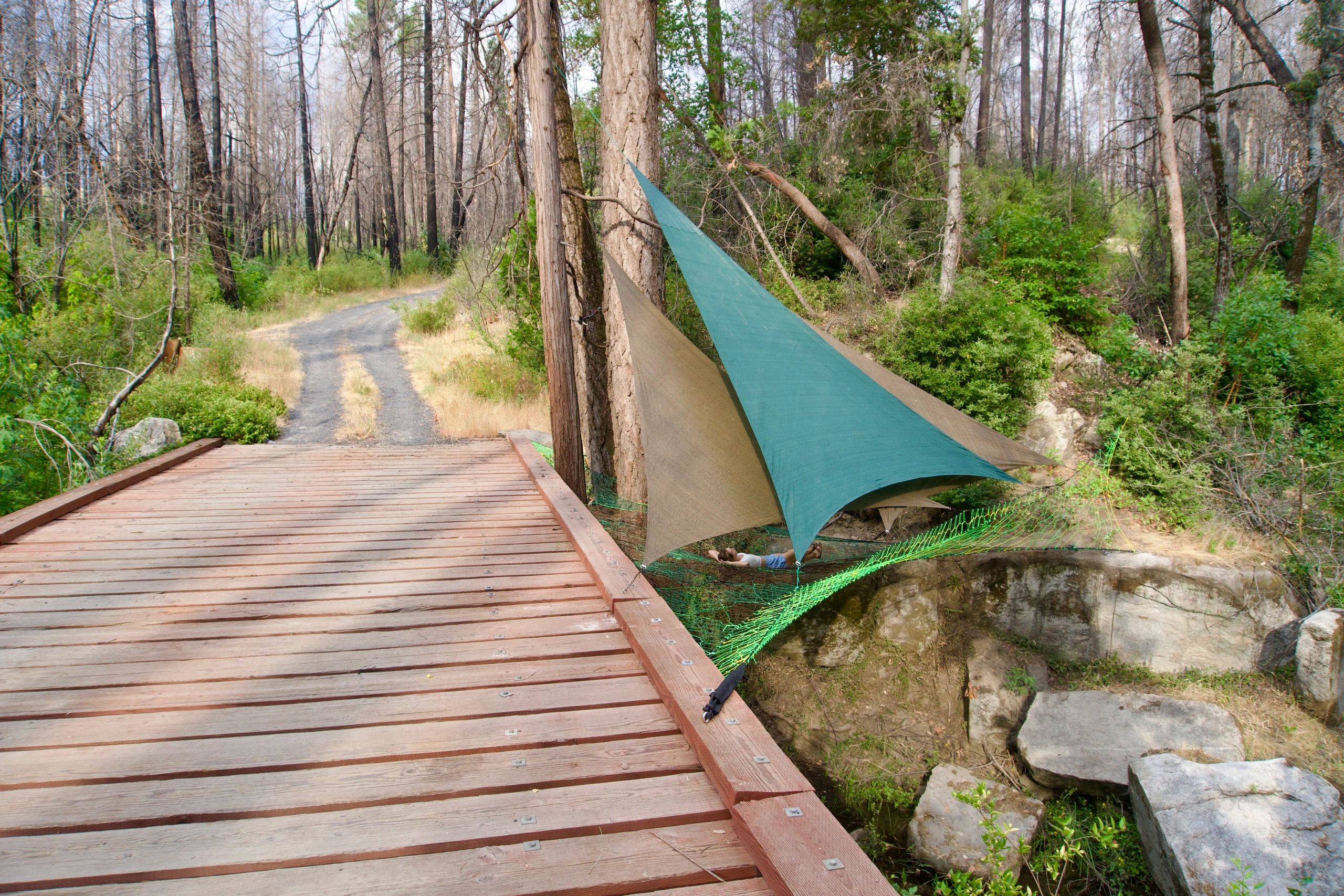 This Bridge Net Just Got A MAJOR Upgrade!