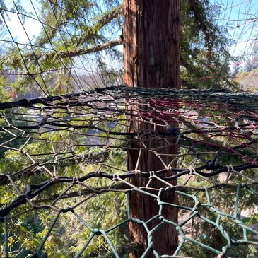 Custom Treenets | Quality Tree Net Weaving Services