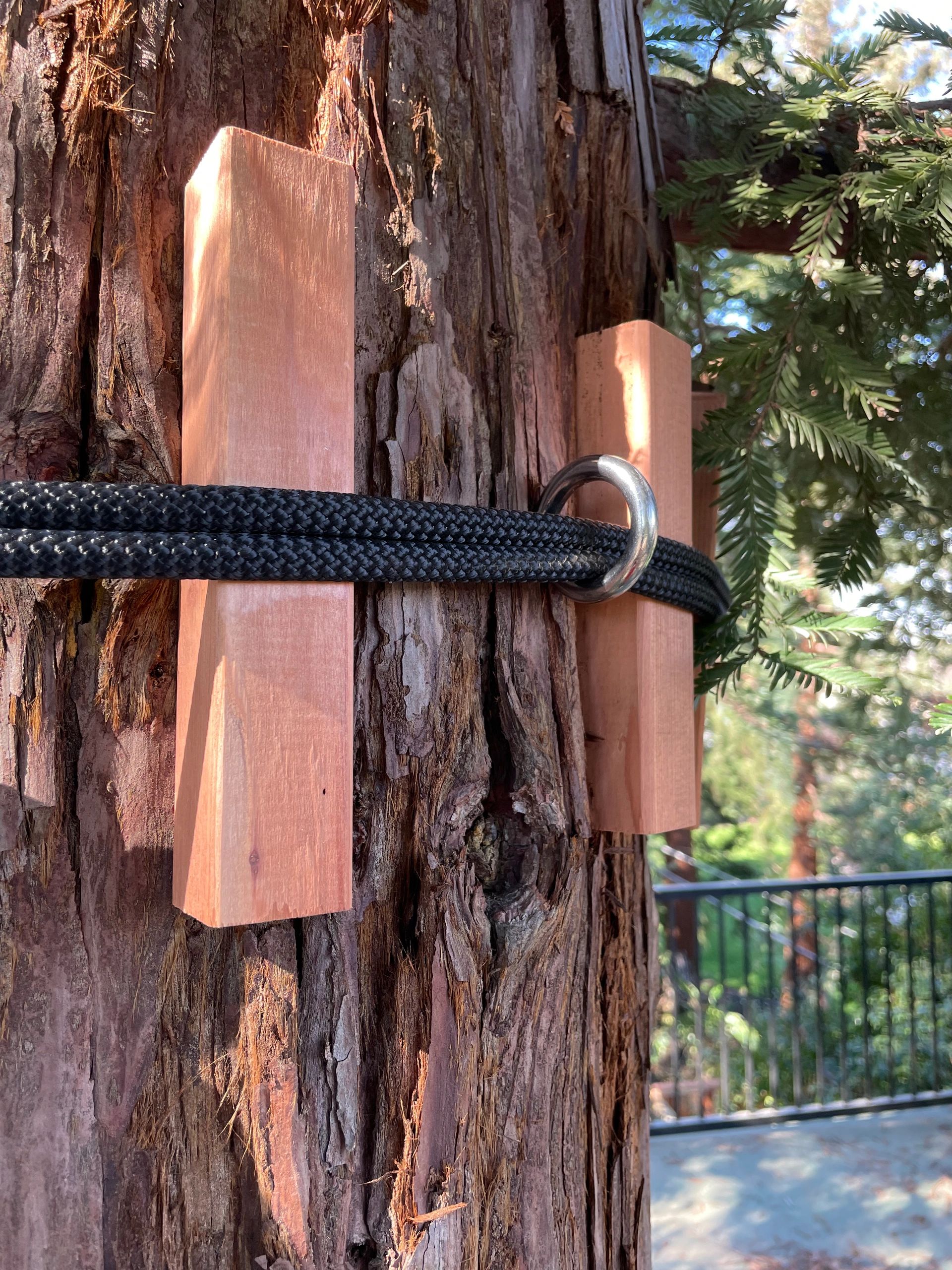 Treenets VS Spacenets… What’s The Difference?