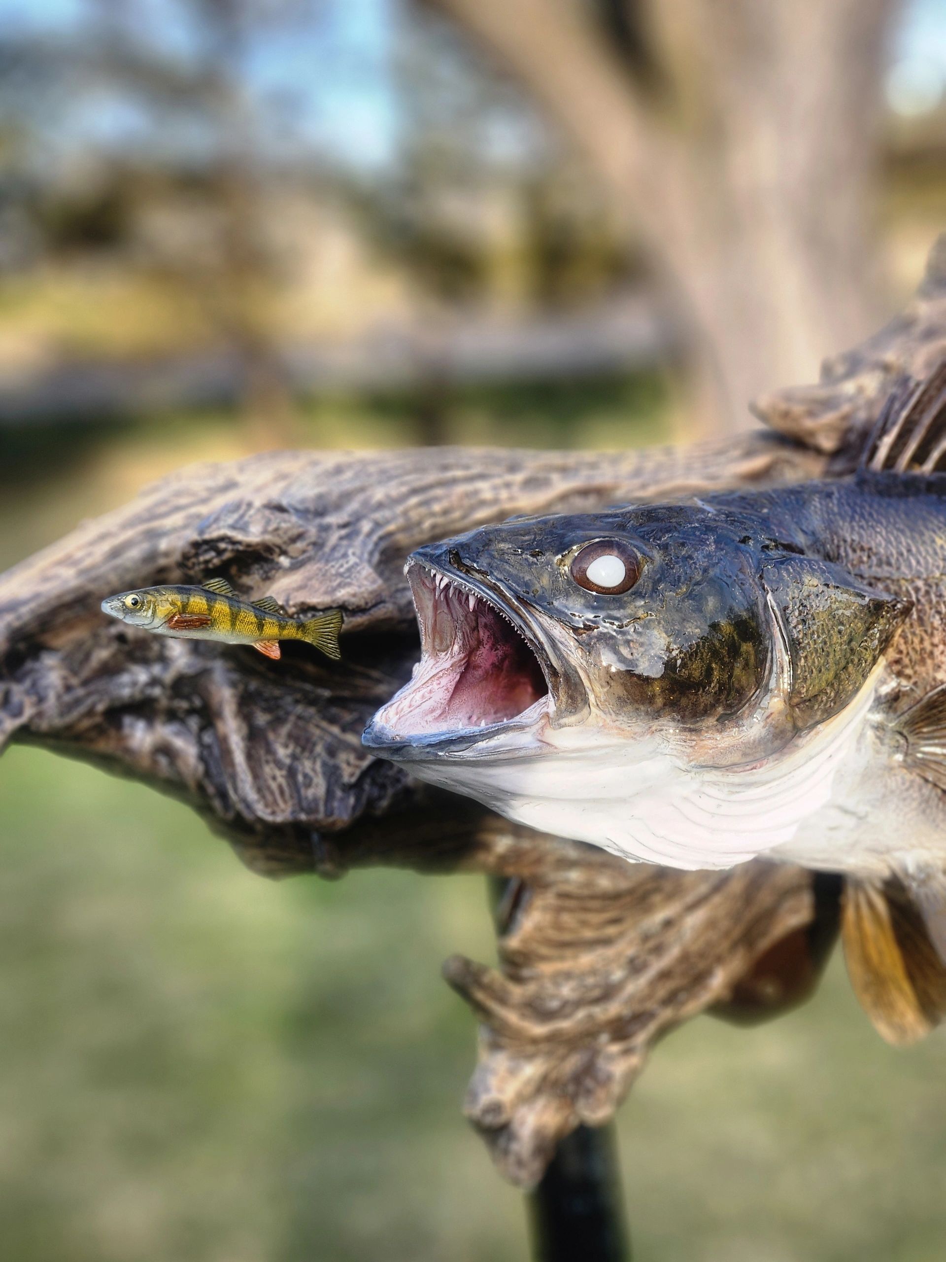 Large Game/Euro Pricelist