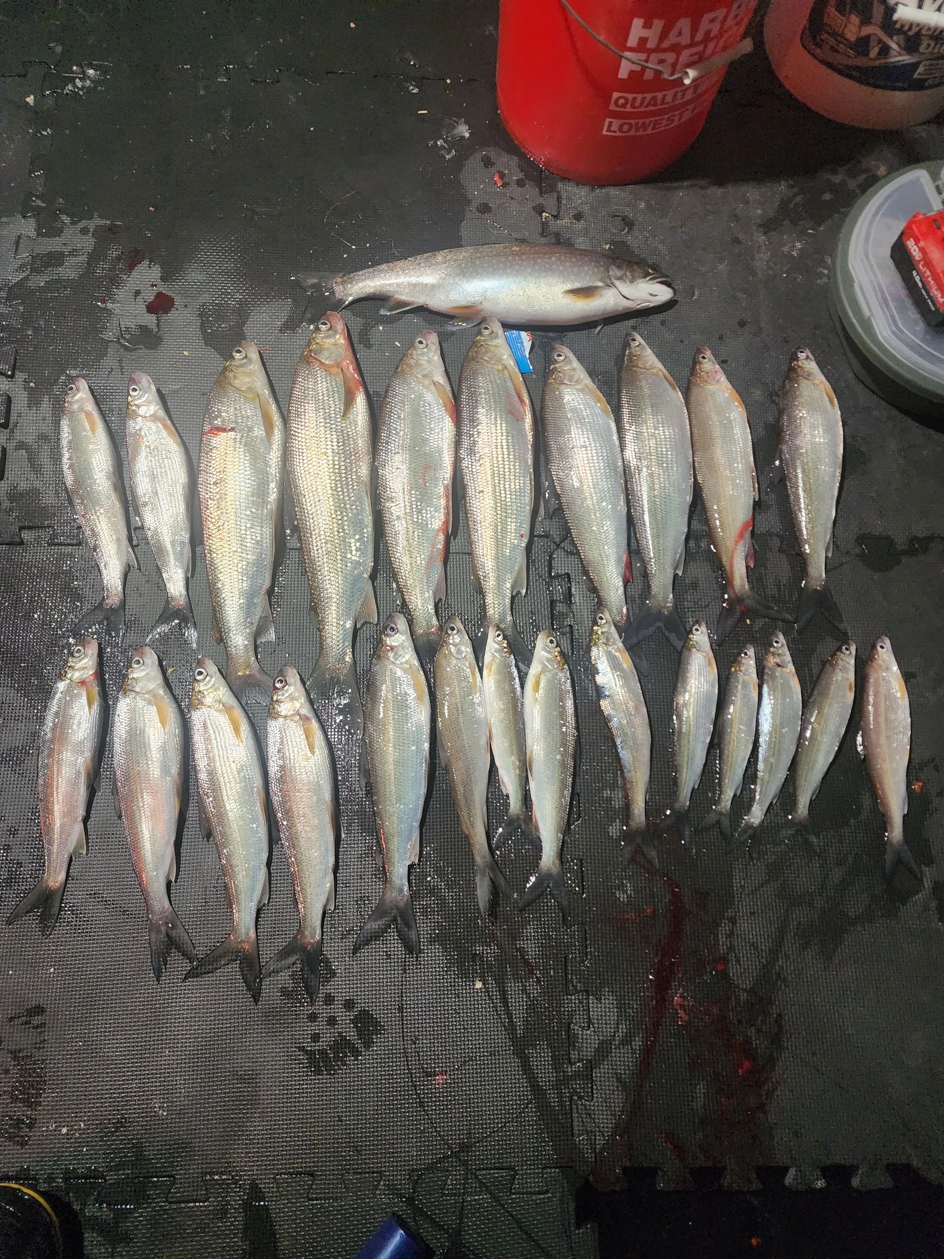 4 hour Gitche Gumee Fishing Excursion