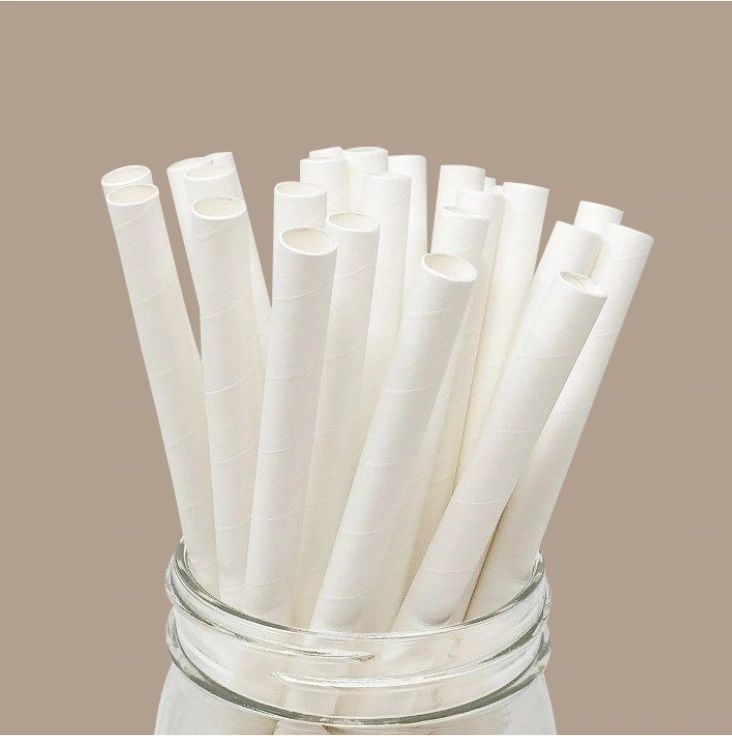 PAPER Bubble Tea Straw (12x210mm) 100s