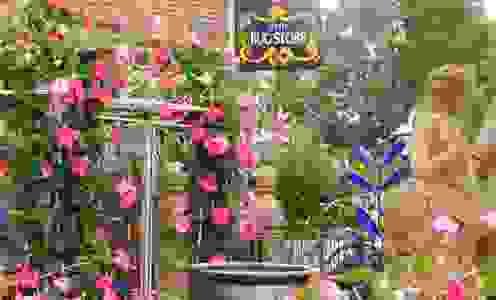 Bugstore.com - Home and Garden Store, Wind Spinners, Wind Chimes