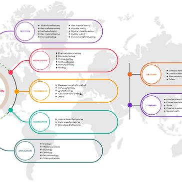 Stray Goose Solutions