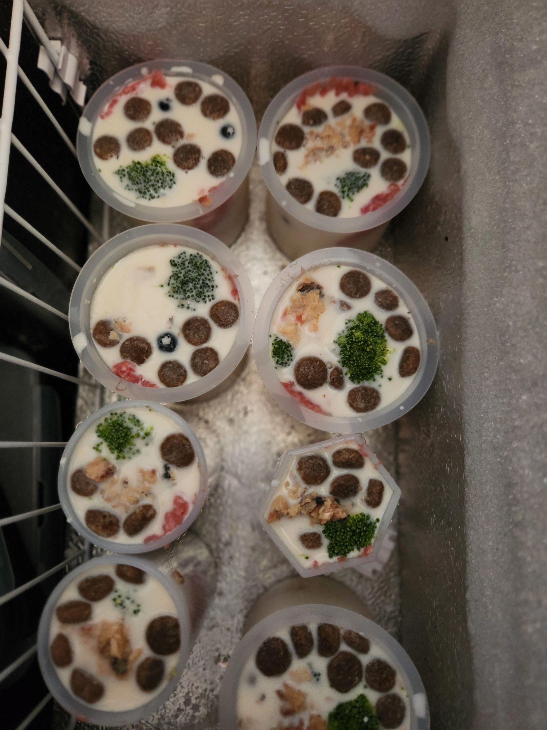 Frozen home made dog enrichment treat