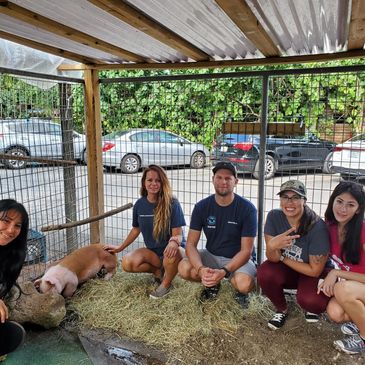 Florida Animal Rescue Alliance: Helping Animals in Need