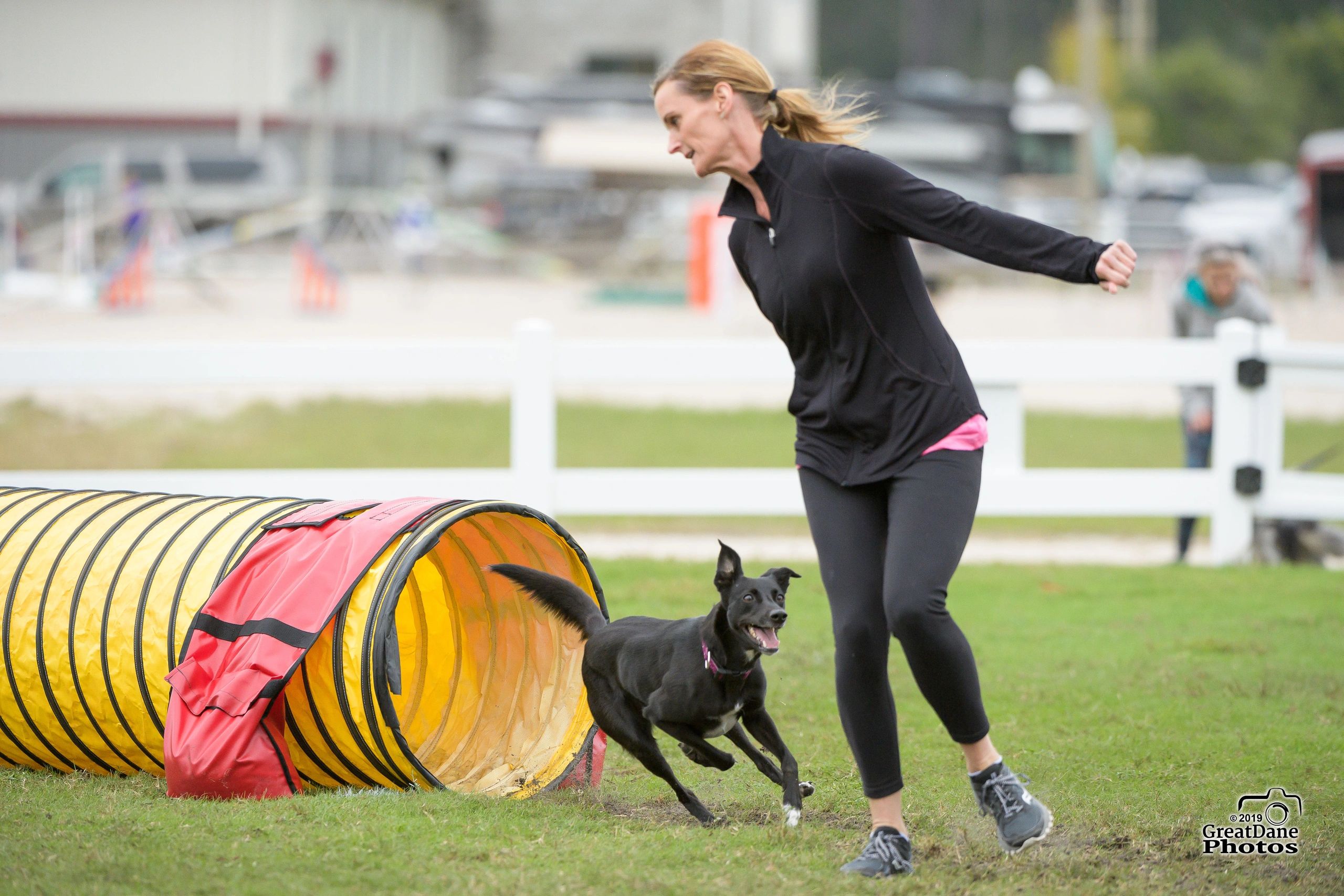 Top Dog Agility Training Classes