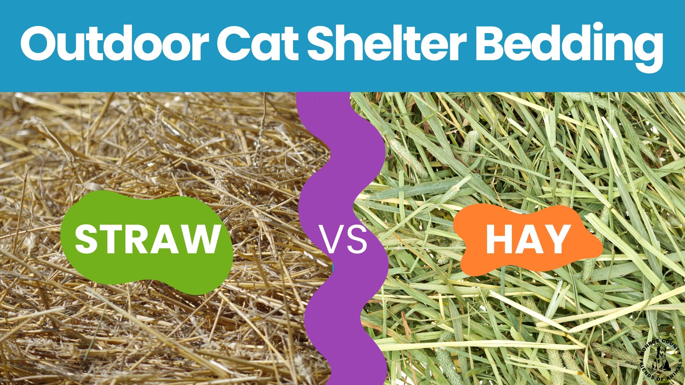 Straw vs Hay for Cat Shelters: Why Straw Is the Only Choice