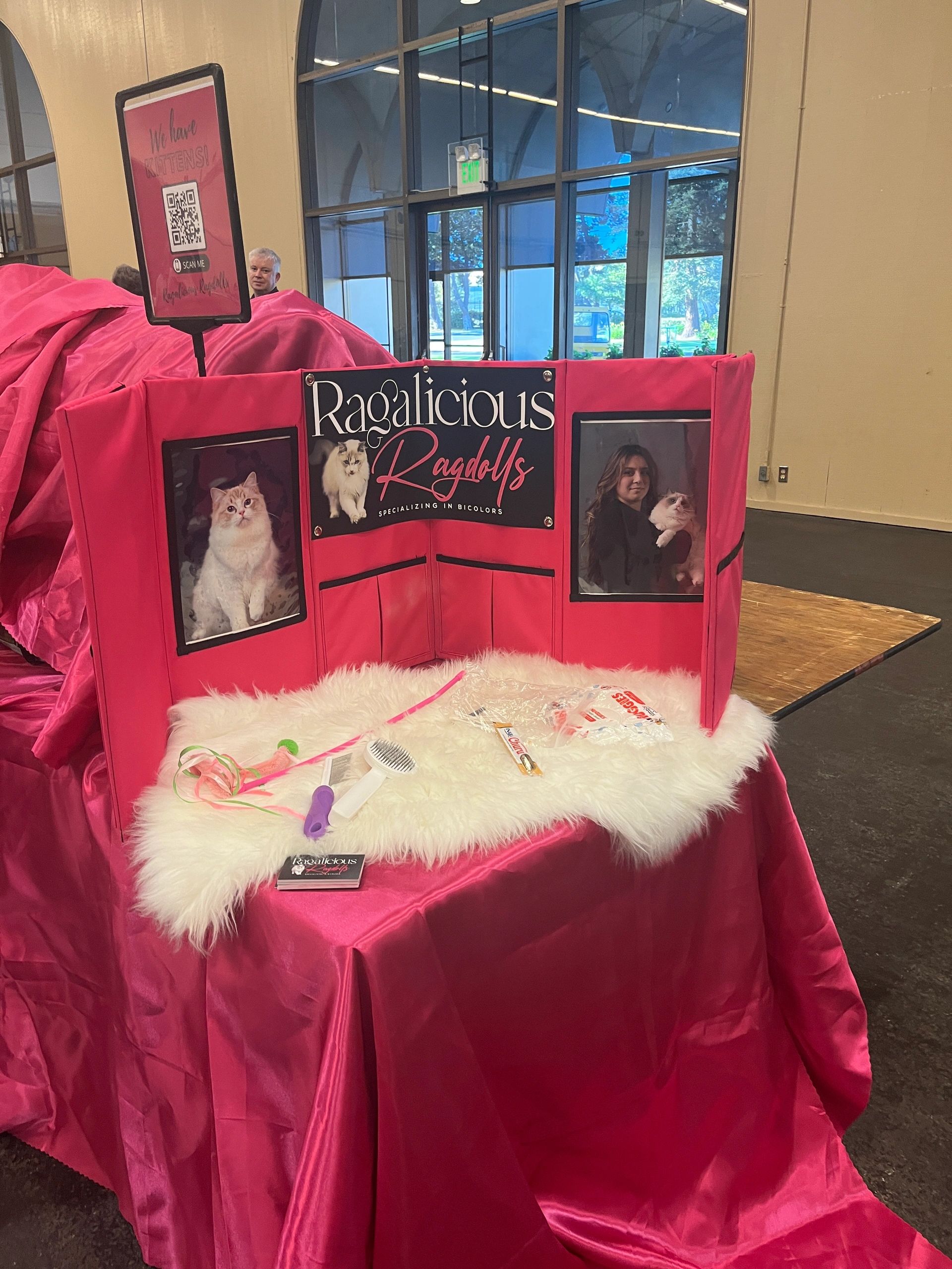 Want to show your Ragdoll?