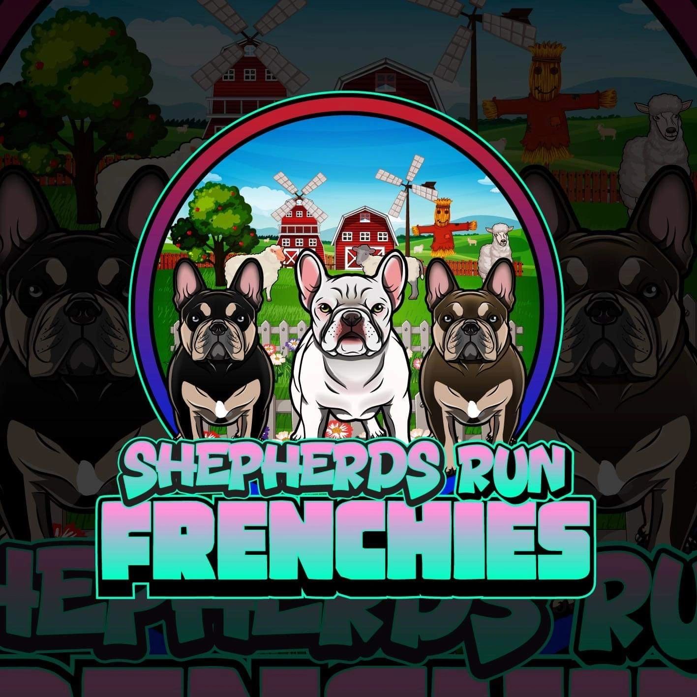 Shepherds Run Frenchies - Frenchie Puppy, French Bulldog Puppies ...