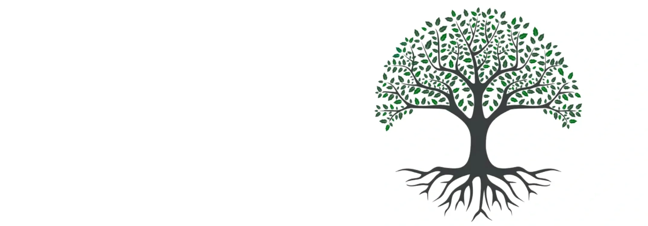 To The Root Therapy