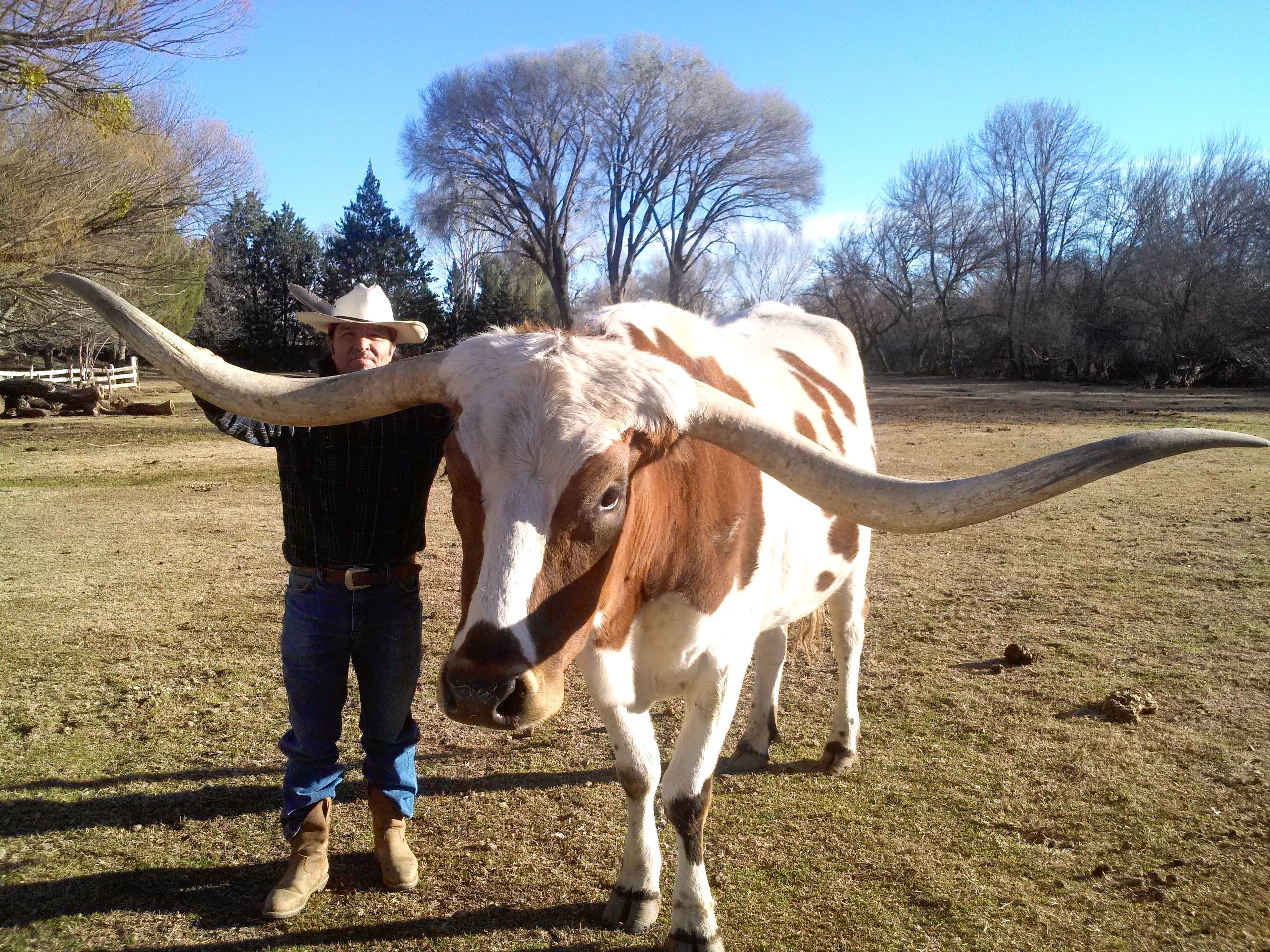 Little Orphan Animals