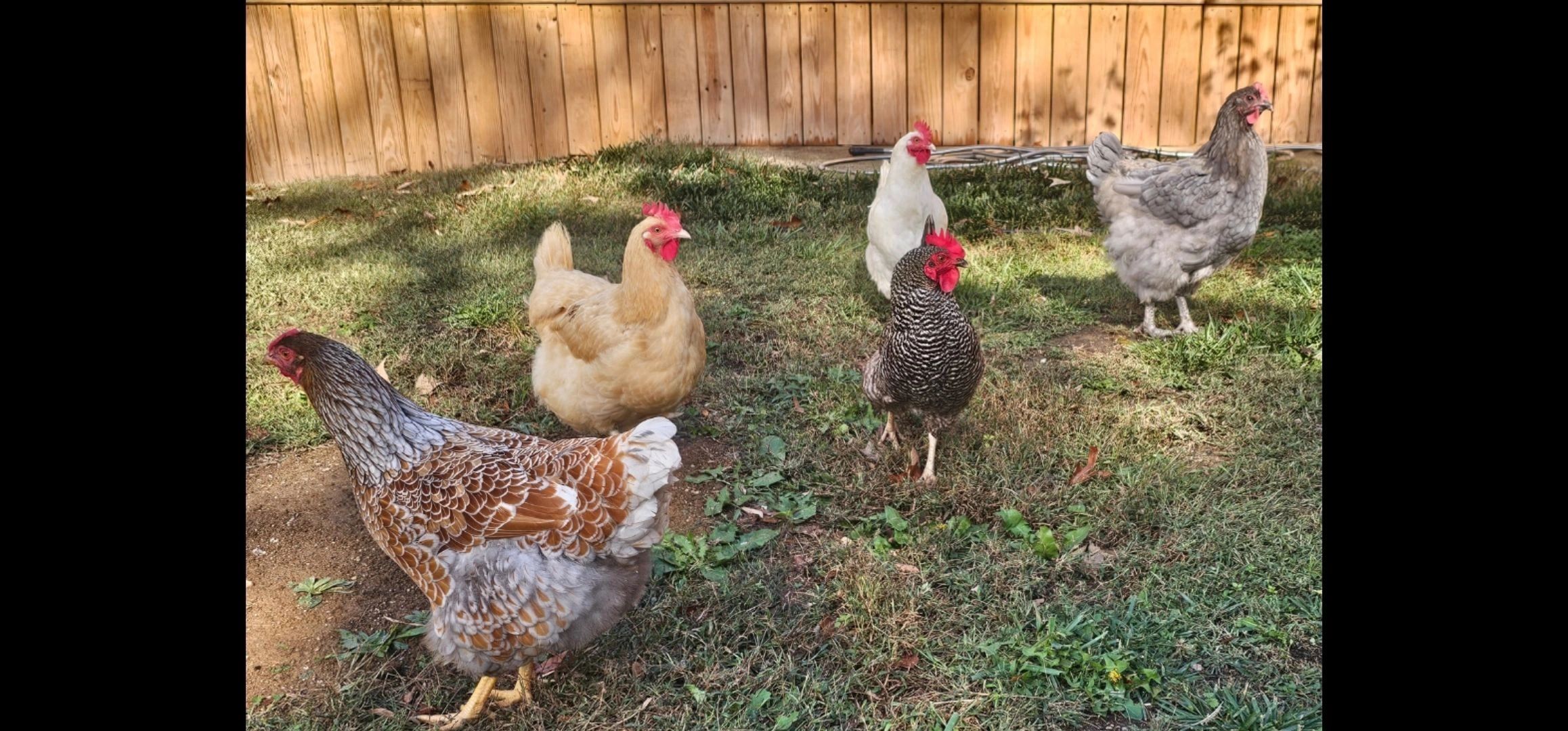 Blessed Cardinals Farm