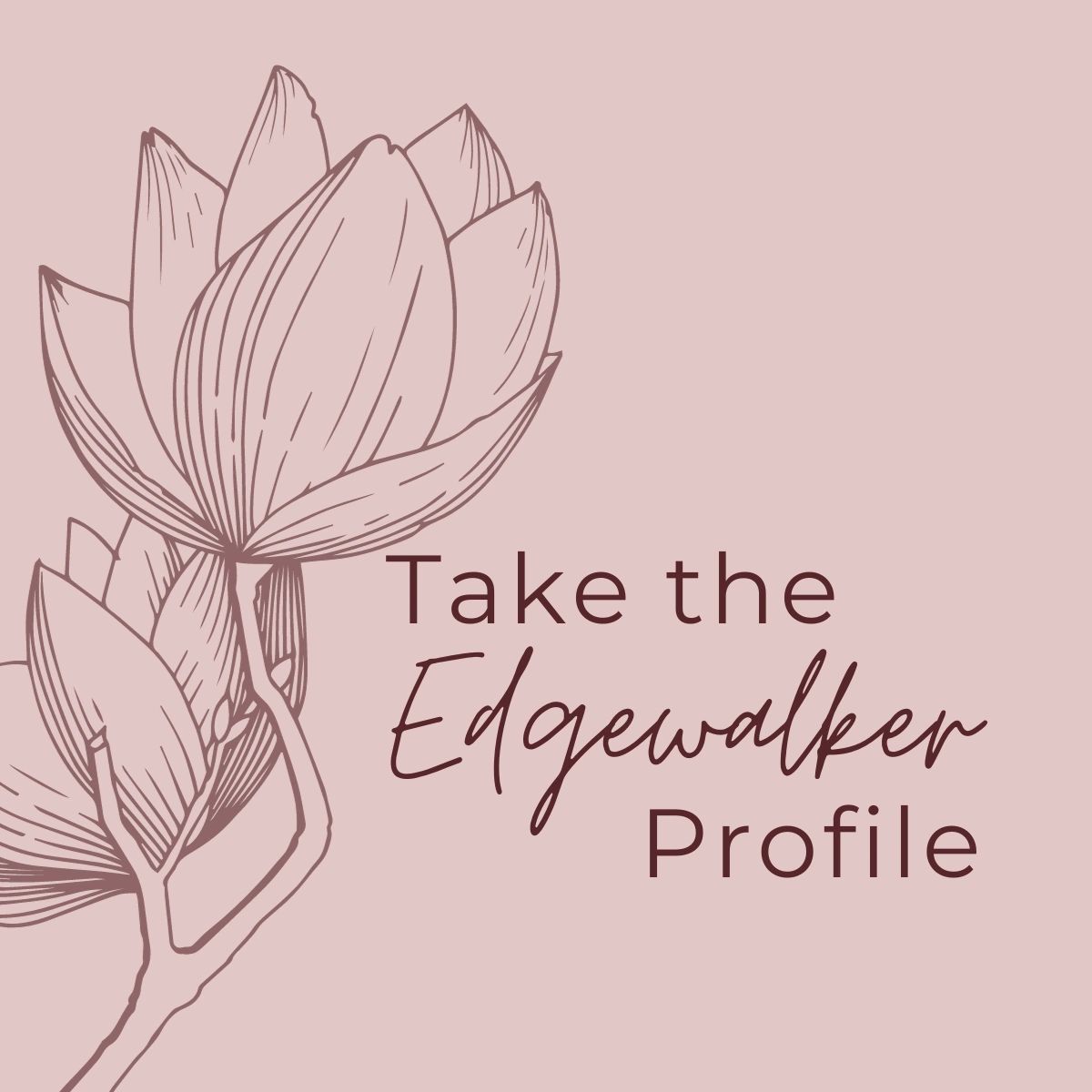 Edgewalker Profile Access