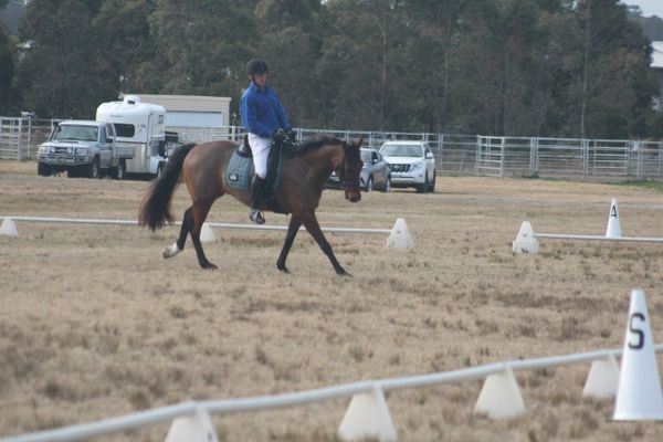 Dressage - Dungog Dressage Club