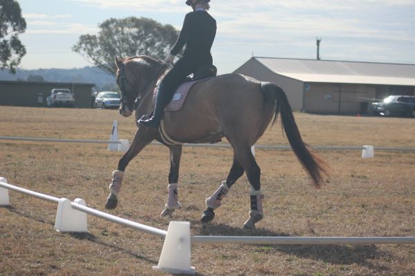 Dressage - Dungog Dressage Club