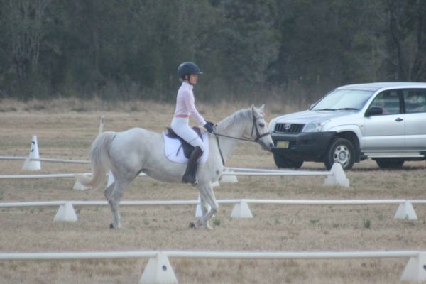 Dressage - Dungog Dressage Club