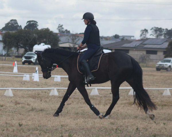 Dressage - Dungog Dressage Club