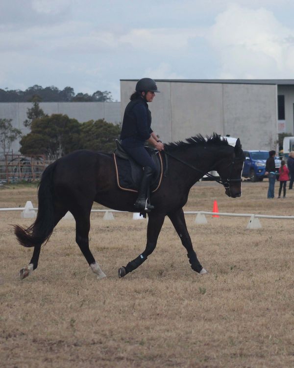 Dressage - Dungog Dressage Club