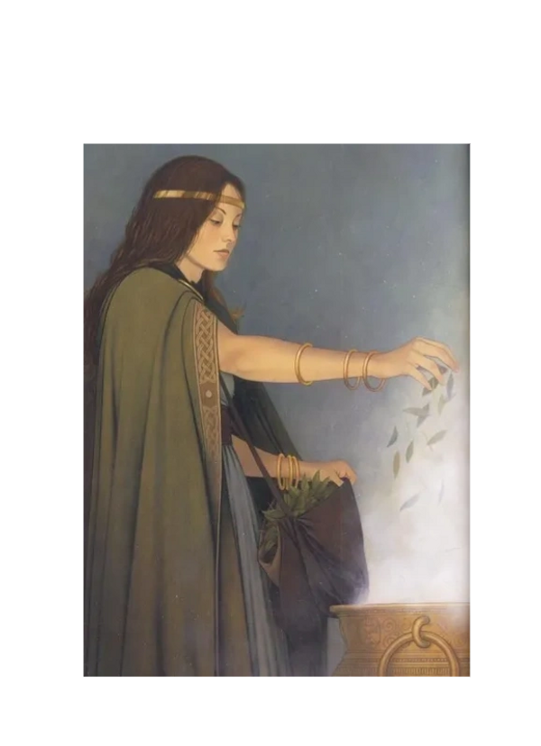 Ceridwen Farms - Your Destination for Inspirational Herbs and Flowers