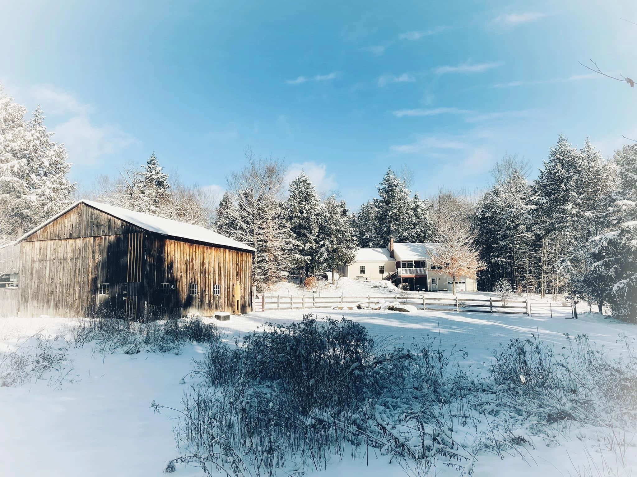 Maple Pond Farm - Home