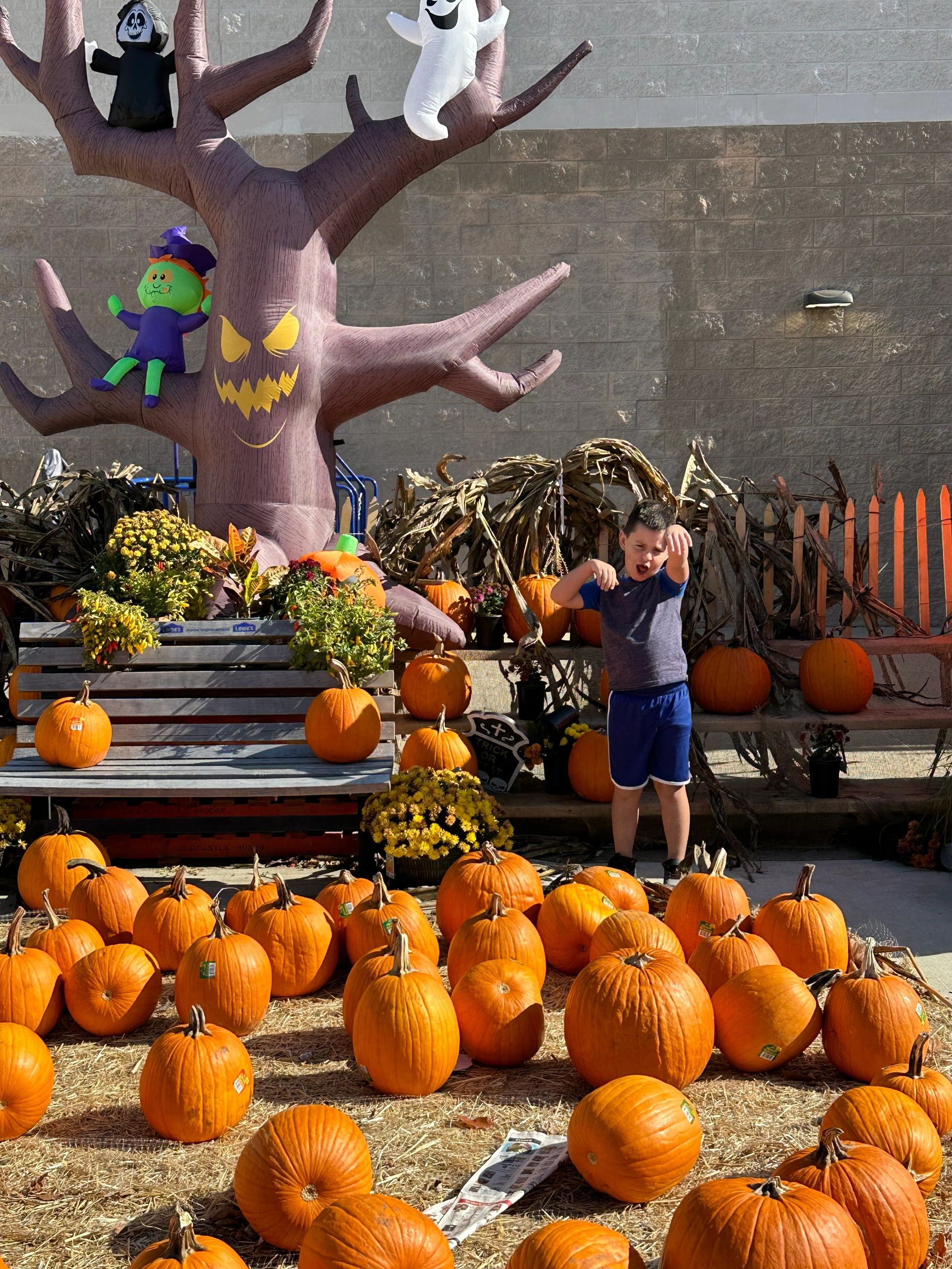 Pumpkin Patch Party and Petting Zoo