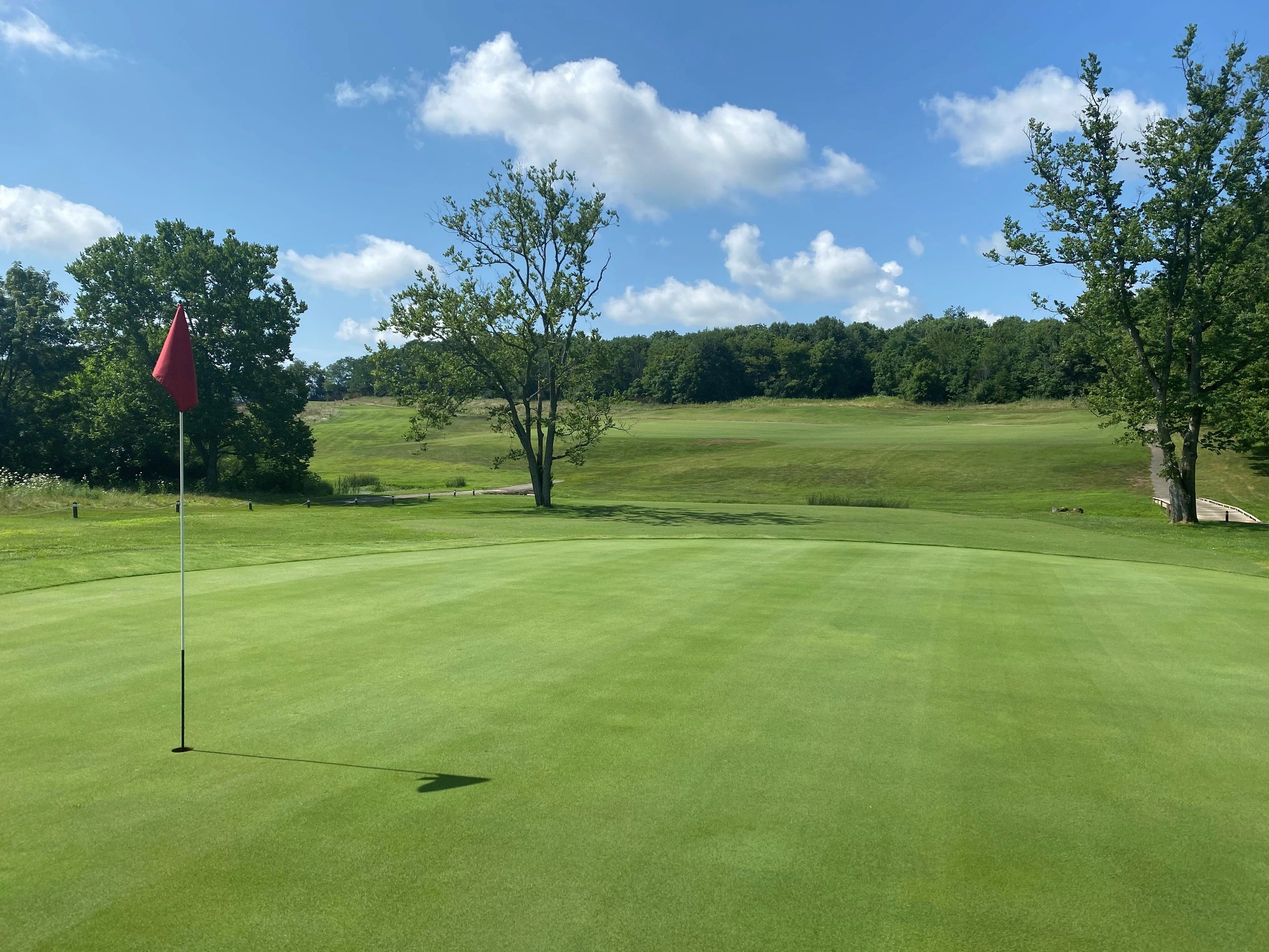 Thoroughbred Golf Club - Golf Course, Driving Range, Bar and Grill