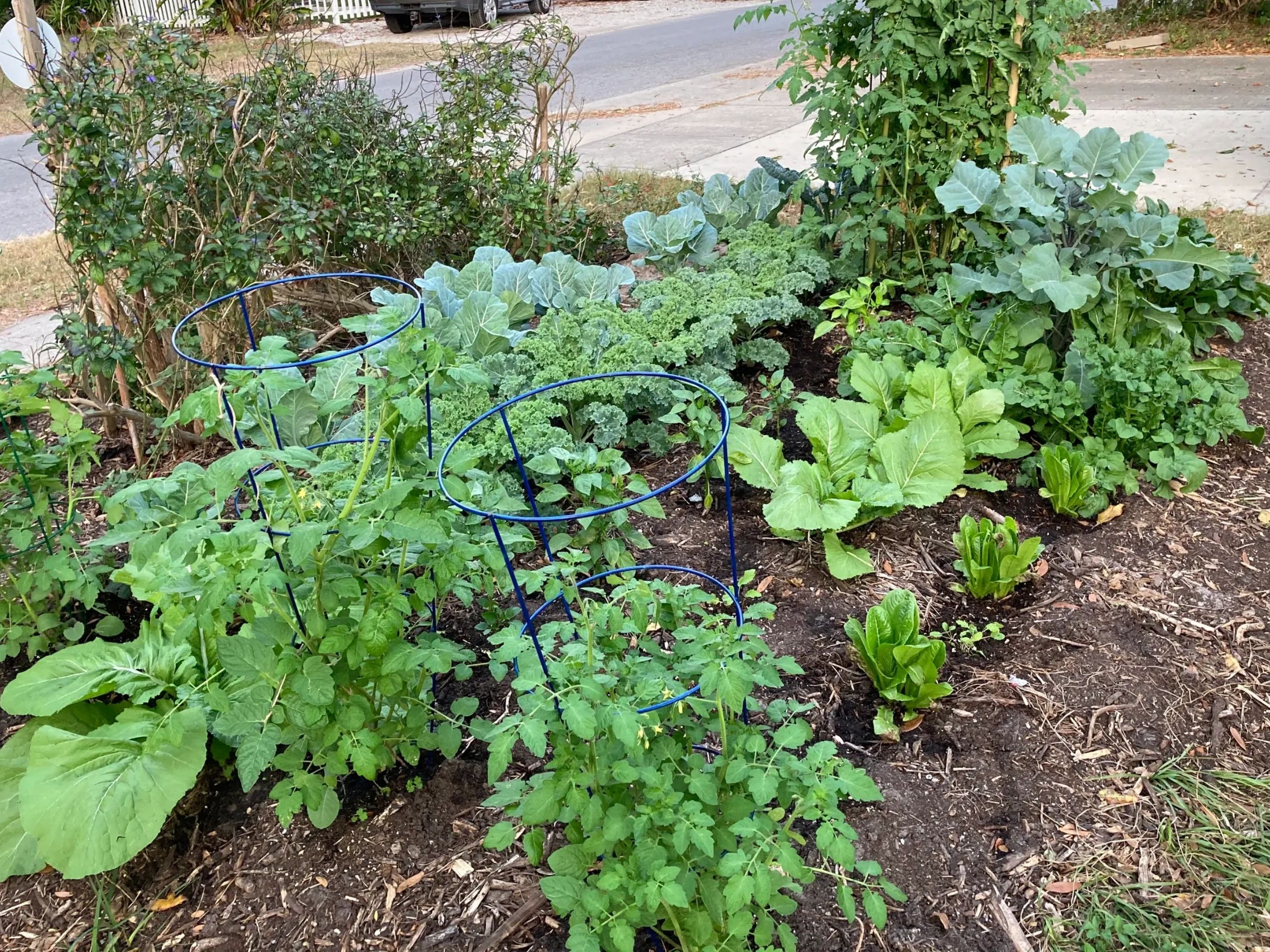 Local Food Production | New Port Richey FarmNet