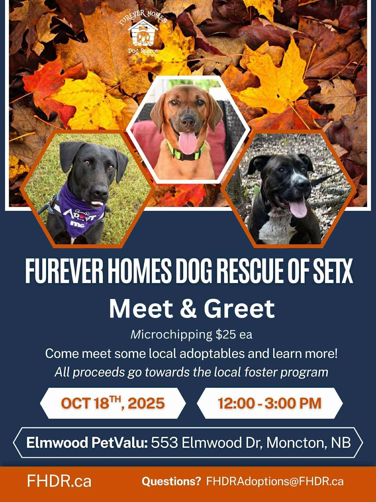 Furever Homes Dog Rescue of SETX - Rescue Dogs, Adopt a Dog, Texas ...