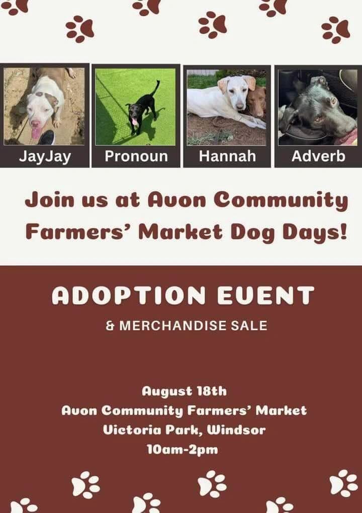 Furever Homes Dog Rescue of SETX - Available Dogs, Adoption