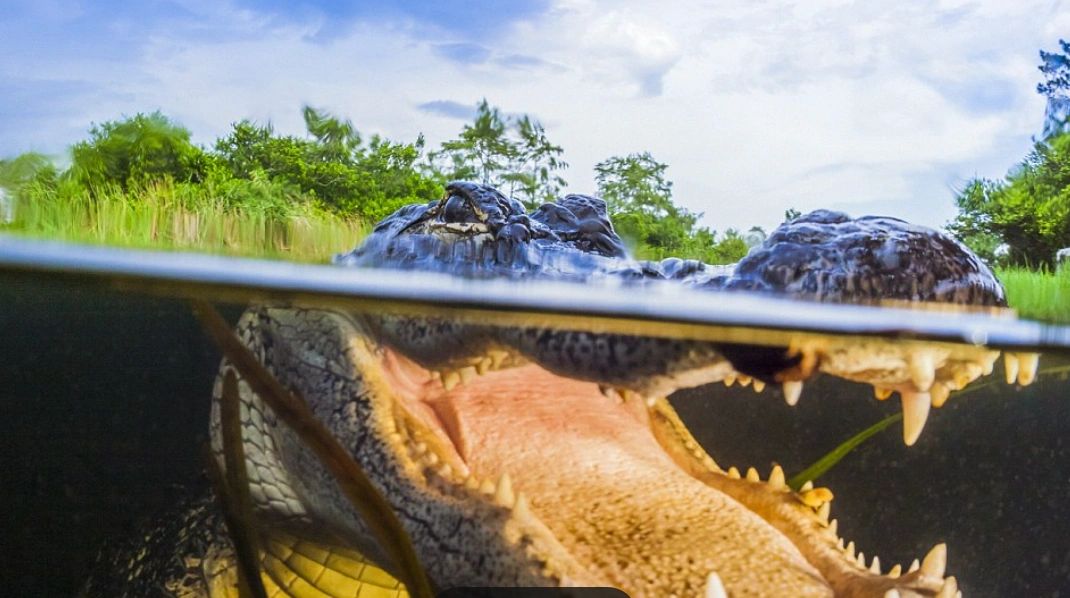 Jiggs Landing Outpost - Tourist Attraction, Boating, Fishing